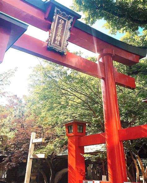 保険外看護サービス Naoiサポート Naoi Support • Instagram Photos And Videos