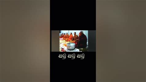 පිරිත්වල ආශිර්වාදය 🙏🙏🙏 පිරිත් බණ සාදු බුදු දහම බුදුරදුන් දේශනා