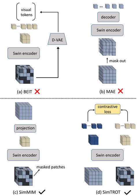 論文レビュー Enhancing 3d Transformer Segmentation Model For Medical Image