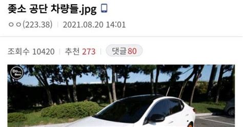 중소기업 직급별 자동차