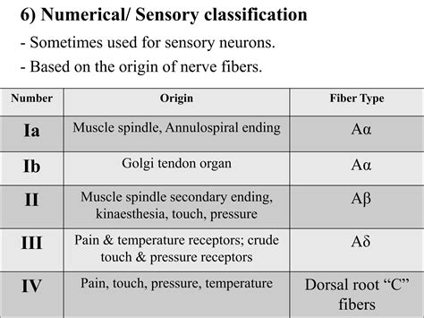 Nerve Classification Pptx