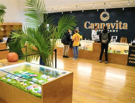 Astorias Cannavita And Comfortland To Celebrate 420 With Exclusive