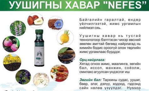 Energy Max Mongolia албан ёсны хуудас 🍀 Energy Max компанийн шилдэг бүтээгдэхүүн Уушигны