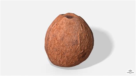 Exotic Fruit Coconut Photoscanned PBR By Tunnel Vision Studio