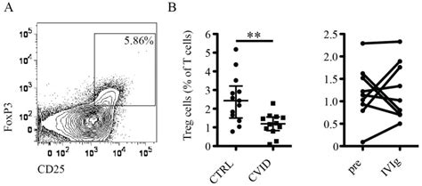 A Representative Staining Illustrating The Gating Strategy Used B