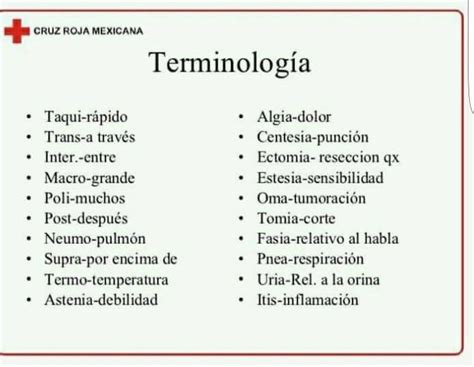 Terminología médica Terminología médica Medicos Cruz roja