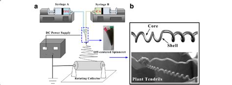 A Schematic Of The Off Centered Co Electrospinning System B Formation