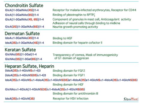 Glycoword Proteoglycan A12
