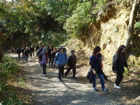 四條畷市消防団及び女性防火クラブが山林パトロールを実施しました 大東四條畷消防組合