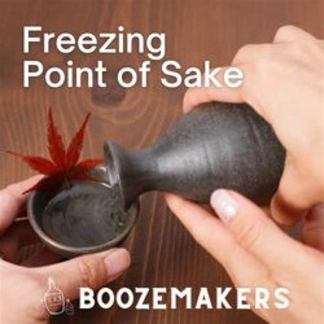 The Freezing Point Of Alcoholic Drinks Boozemakers