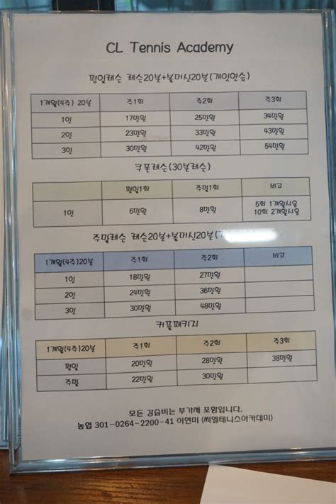 하남 미사실내테니스 Cl 레슨 후기 네이버 블로그
