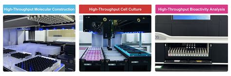 Structure And Application Integrated” Protein Development Platform