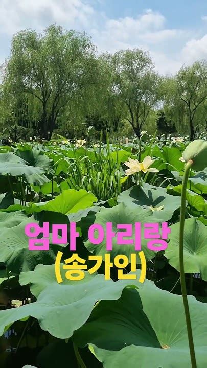 엄마아리랑송가인 Youtube