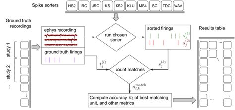 Simplied Ow Diagram Of The Spikeforest Analysis Pipeline Each In A Download Scientific Diagram