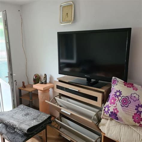 Primesc In Gaza Calea Sagului‼️ Timisoara • Olx Ro