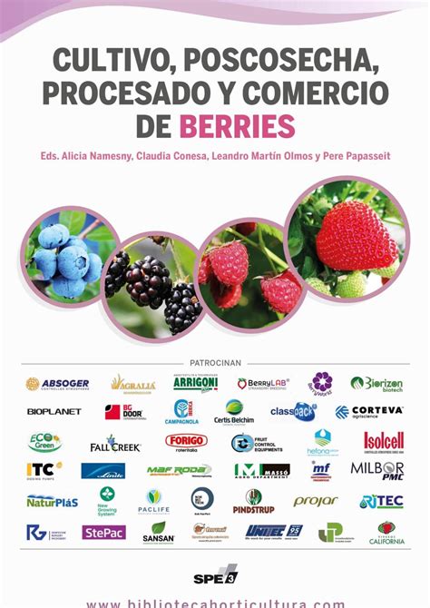 Paso A Paso Cómo Sembrar Una Planta Y Disfrutar De Su Crecimiento