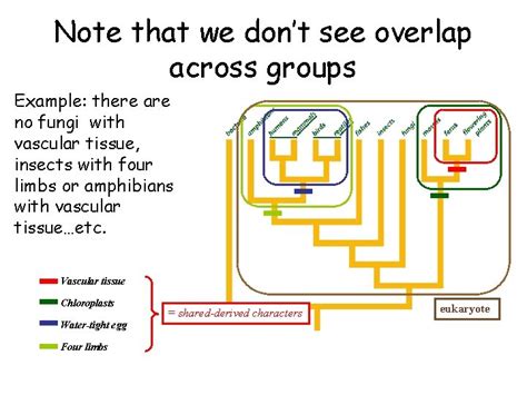 Hierarchical Structuring Of Trait Data Bot 940 Evidence