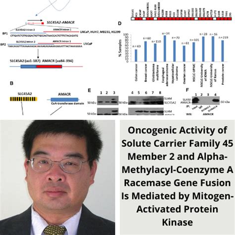 Dr Jian Hua Luo Publishes Manuscript In Hepatology Communications