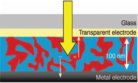 Schematic Representation Of A Bulk Heterojunction Solar Cell Showing