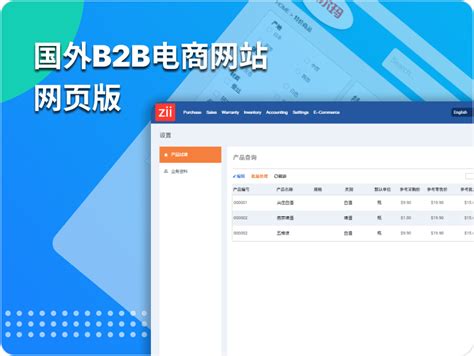 国外B B电商网站网页版