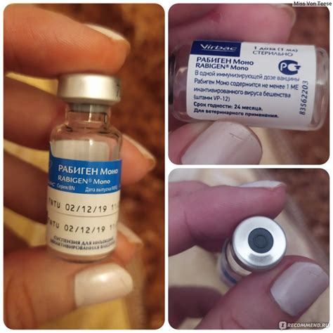 Вакцина Virbac Рабиген Моно для профилактики бешенства собак и кошек ...