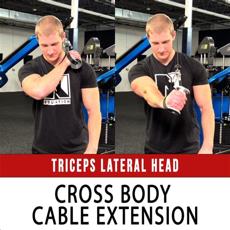 Tricep Curls Exercise