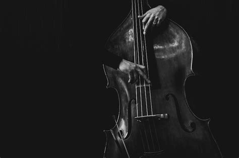 Why Jazz Laura Warrell On Devotion To A “dying” Art Form ‹ Literary Hub