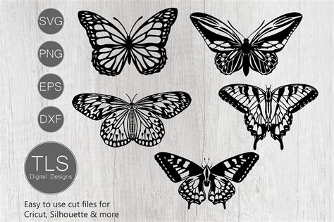 Butterflies Svg Butterfly Svg Butterflies Cricut File 376484 Cut Files Design Bundles