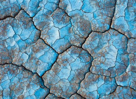 adobe substance 3d texturing ai design stock