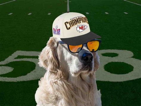 The Funniest Monday After Super Bowl Memes 2024 Edition