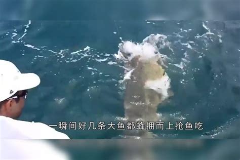 老外将一整只鸡当诱饵，扔进水里后，接下来的场面一度失控！诱饵老外场面