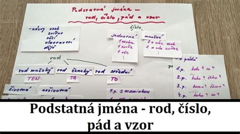 Podstatná jména rod číslo pád a vzor YouTube