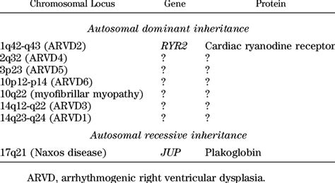 Arvd Chromosomal Loci And Disease Genes Download Scientific Diagram