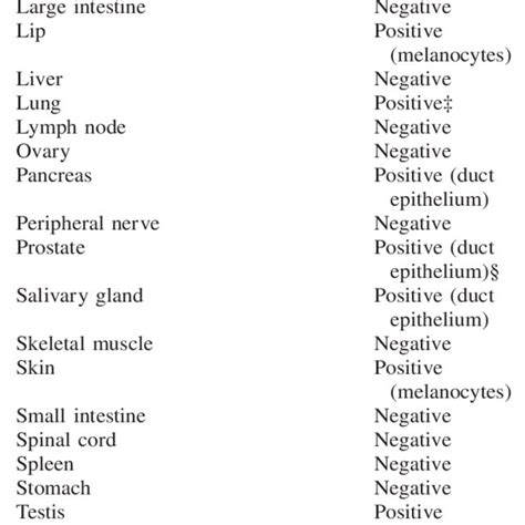 Gingiva Dog Melanoma Large Polygonal Cells With Clear Cytoplasm He