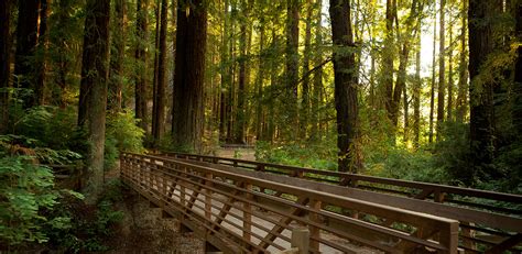 Riverfront Regional Park Sonoma County Regional Parks