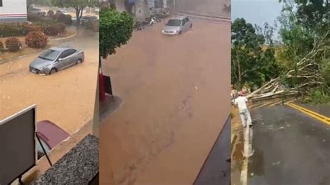 Chuva No Es Temporal Alaga Ruas E Derruba árvores Em Marilândia A Gazeta