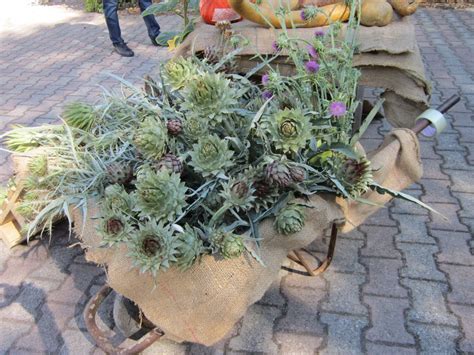 Institute Of Biosciences And Bioresources Ibbr Cnr