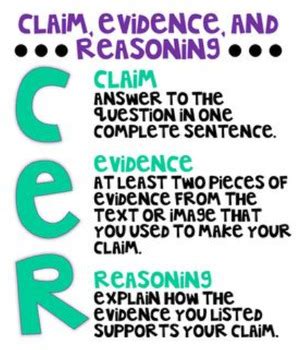 CER PowerPoint Notes And Activity BUNDLE By Tracy Dang TPT