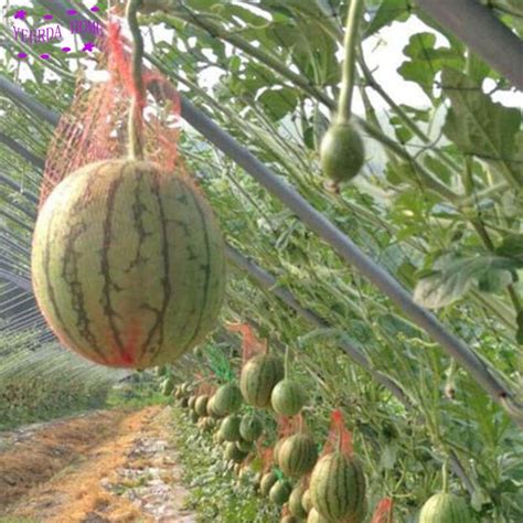 4 Size 100pcslot Horticultural Net Plastic Mesh B Grandado