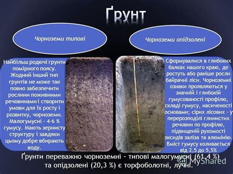Презентация на тему Дослідження грунтів Скачать бесплатно и без