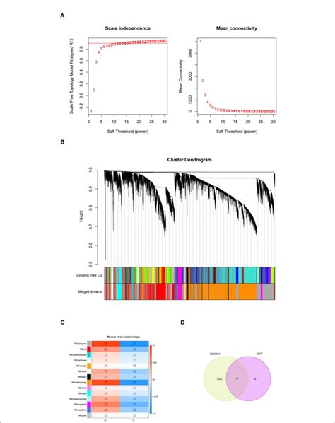Figure Weighted Gene Co Expression Network Analysis Wgcna A Soft