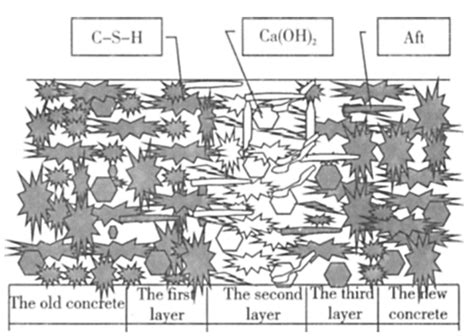 Schematic Showing The Proposed Microstructure Of The Old New Concrete