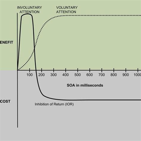 Schematic Diagrams Depicting Two Different Accounts Of Attentional Download Scientific Diagram