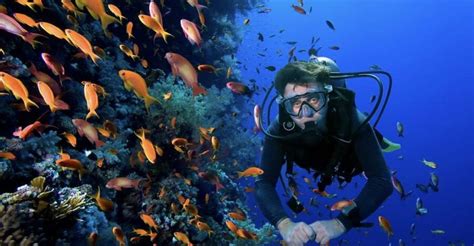 Gili Islands Scuba Dive Indonesia
