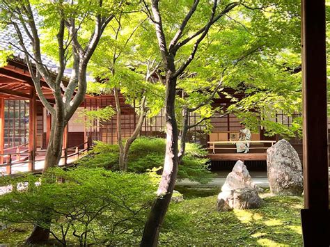 Juan Daniel Rodriguez Cuellar