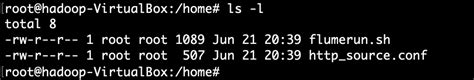 Apache Flume Project Cloudduggu