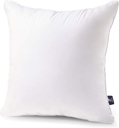 Miulee 18 X 18 Pillow Inserts Set Of 2 Throw Pillow