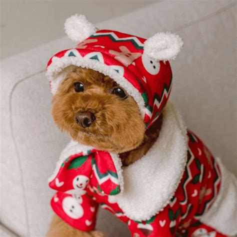 솔티핫티 스노우맨 모자 페오펫몰