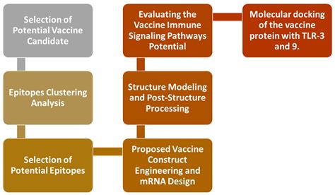 Design Of An Epitope Based Vaccine Against Mers Cov