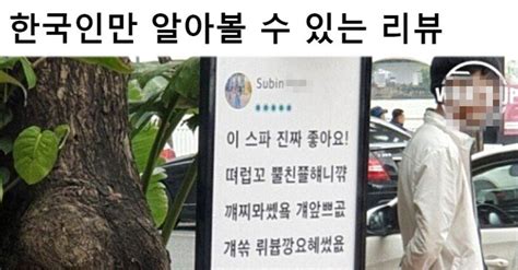 펫잇스북 한국인만 알아볼 수 있는 리뷰 진짜 읽히긴 하네 ㅋㅋ 본문 링크 댓글 참조